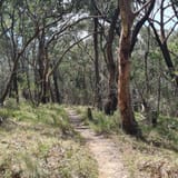 Pakenham Loop via Cardinia Aqueduct Trail, Victoria, Australia - 78 ...