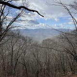Graybeard Trail, North Carolina - 1,733 Reviews, Map | AllTrails