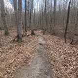 Indian Seats Loop, Georgia - 5,156 Reviews, Map | AllTrails