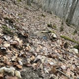 Patton Cave Loop Via Grubb Ridge, Indiana - 273 Reviews, Map | AllTrails