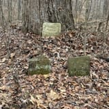 Patton Cave Loop Via Grubb Ridge, Indiana - 273 Reviews, Map | AllTrails