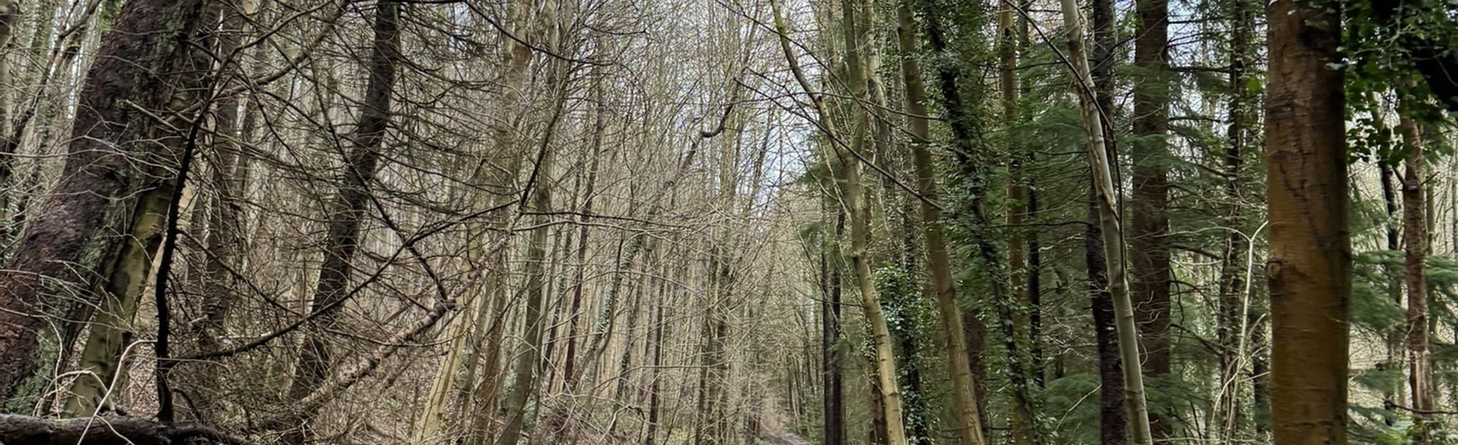 River Wansbeck, Northumberland, England - 81 Reviews, Map | AllTrails