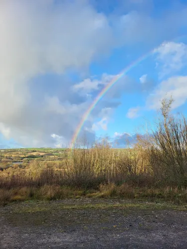 Best Hikes and Trails in Penllergaer Forest | AllTrails