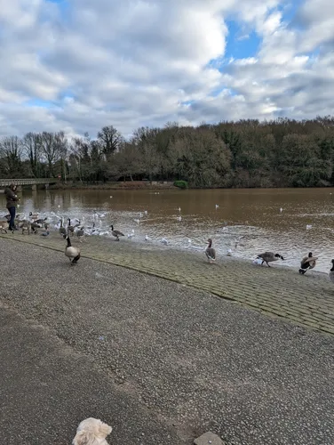 Best Hikes and Trails in Rufford Country Park | AllTrails