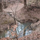 Green River Bluff, Echo River Springs, Sinkhole and Heritage Trail ...