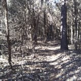 Mazeppa Park Trail, North Carolina - 465 Reviews, Map | AllTrails