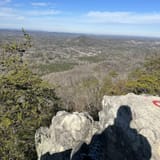 George W. Disney Trail, Georgia - 524 Reviews, Map | AllTrails