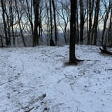 Blue Ridge Gap to Sharp Top, Georgia - 118 Reviews, Map | AllTrails