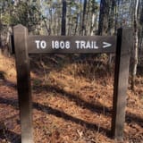 Batona Trail: Batsto to Rt 563, New Jersey - 129 Reviews, Map | AllTrails