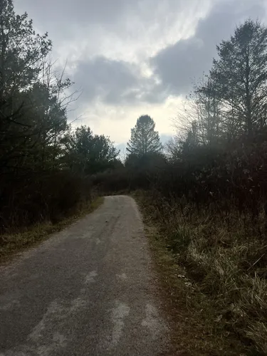 Best Hikes and Trails in Petros Lake Park | AllTrails