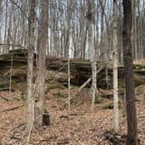 Two Lakes Loop Trail, Indiana - 557 Reviews, Map | AllTrails