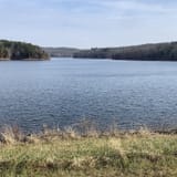 Two Lakes Loop Trail, Indiana - 497 Reviews, Map | AllTrails