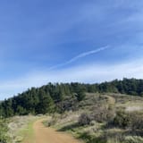 Sweeney Ridge Trail via Mori Ridge, California - 1,545 Reviews, Map ...