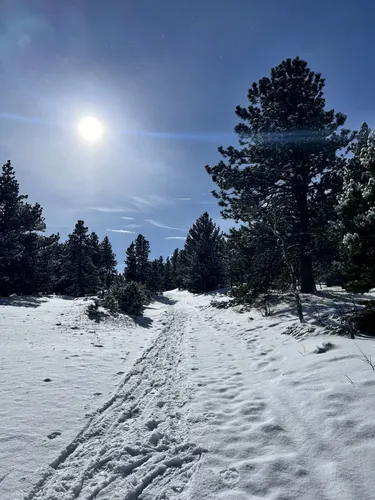 Best Hikes and Trails in Caribou Ranch Open Space | AllTrails