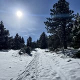 Caribou Ranch Trail, Colorado - 1,487 Reviews, Map | AllTrails