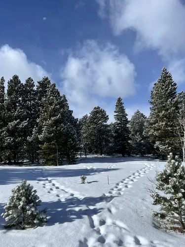 Best Hikes and Trails in Caribou Ranch Open Space | AllTrails