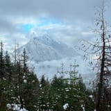 Heybrook Ridge via Leovy Trail, Washington - 1,440 Reviews, Map | AllTrails