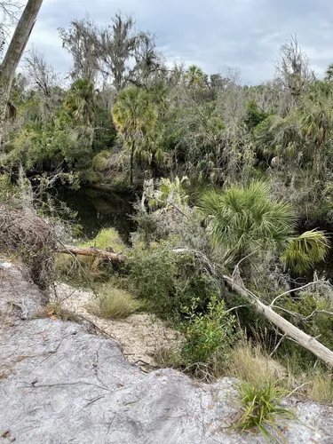 Best 10 Hiking Trails in Rye Preserve | AllTrails