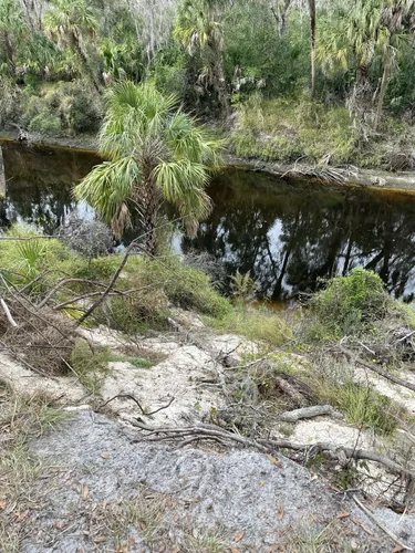 Best 10 Hiking Trails in Rye Preserve | AllTrails