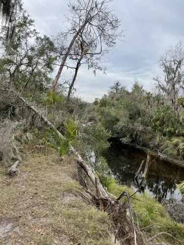 Best 10 Hiking Trails in Rye Preserve | AllTrails