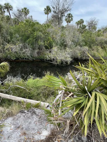 Best 10 Hiking Trails in Rye Preserve | AllTrails