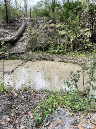 Best 10 Hiking Trails in Rye Preserve | AllTrails