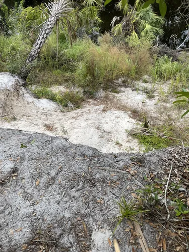 Best 10 Hiking Trails in Rye Preserve | AllTrails