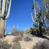 Valley View Overlook Trail, Arizona - 1,355 Reviews, Map | AllTrails