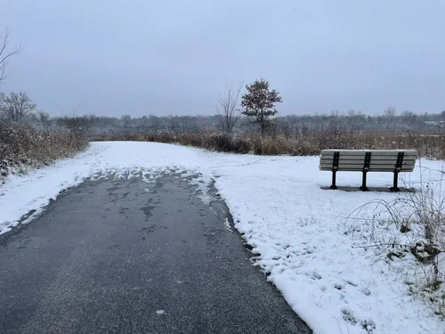 Best Hikes and Trails in Timber Ridge Forest Preserve | AllTrails