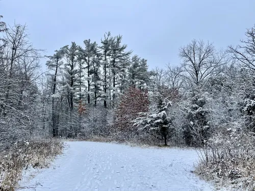 Best Hikes and Trails in Timber Ridge Forest Preserve | AllTrails