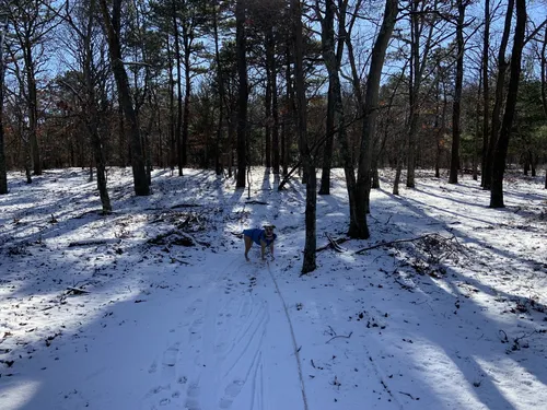 Best Hikes and Trails in David Overton Trail | AllTrails