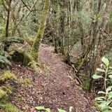 Mount Nelson via Truganini Track , Tasmania, Australia - 189 Reviews ...
