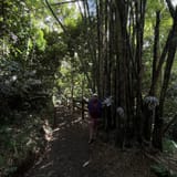 Angelito Trail [CLOSED], East Region, Puerto Rico - 606 Reviews, Map ...