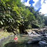 Angelito Trail [CLOSED], East Region, Puerto Rico - 606 Reviews, Map ...
