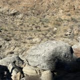 Piru Creek Trail, California - 191 Reviews, Map | AllTrails