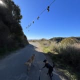 Murphy Ranch Trail, California - 3,555 Reviews, Map | AllTrails