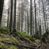 Oyster Dome from Samish Overlook, Washington - 2,359 Reviews, Map ...