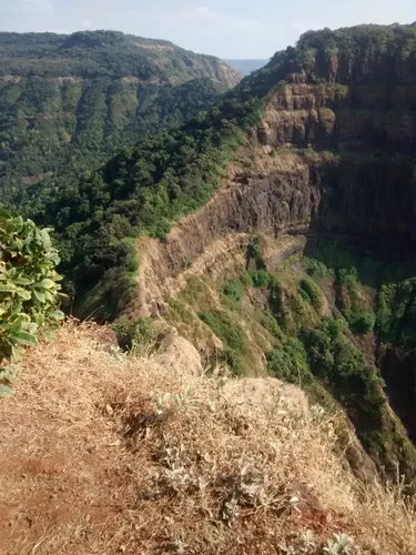 10 Best River Trails in Koyna Wildlife Sanctuary | AllTrails