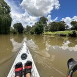 Condamine River walk, Queensland, Australia - 23 Reviews, Map | AllTrails