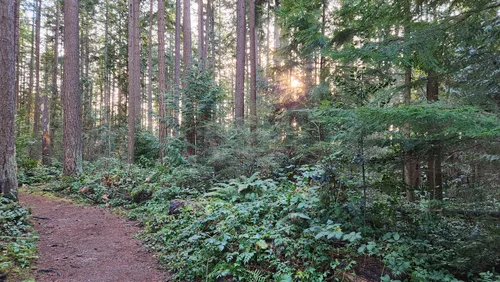 Best Hikes and Trails in Robinswood Community Park | AllTrails