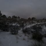 Boston Hill Trail, New Mexico - 212 Reviews, Map | AllTrails