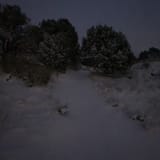 Boston Hill Trail, New Mexico - 212 Reviews, Map | AllTrails