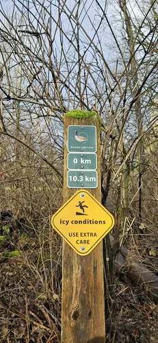 Best Lake Trails in Burnaby Lake Regional Park | AllTrails