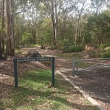 Mount Beerburrum Walking Track, Queensland, Australia - 536 Reviews ...