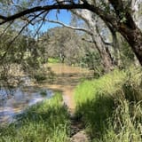 Galatea Point & Dights Falls Loop, Victoria, Australia - 416 Reviews ...