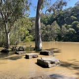 Galatea Point & Dights Falls Loop, Victoria, Australia - 416 Reviews ...