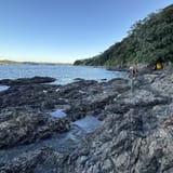 Paihia to Opua Coastal Walkway, Northland, New Zealand - 125 Reviews ...