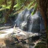 Lorne Waterfalls Loop, Victoria, Australia - 158 Reviews, Map | AllTrails