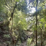 Newlands Forest via the Contour Path, Western Cape, South Africa - 703 ...