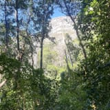 Newlands Forest via the Contour Path, Western Cape, South Africa - 703 ...